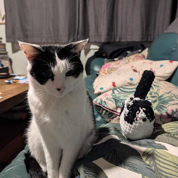 Blind Box Fish Series 1 - Crochet Amigurumi Plushie - Etsy