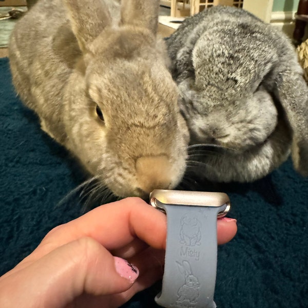 3D Printable AA and AAA Battery Organizer STL File Neatly Store and ...