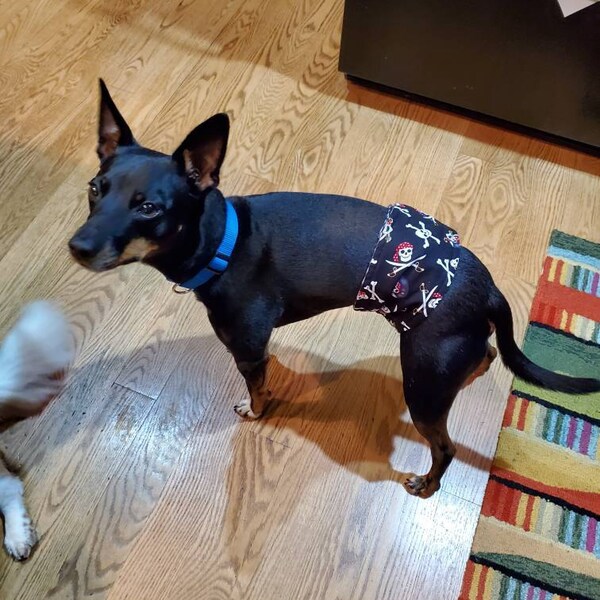 RitzyDogDiapers - Etsy