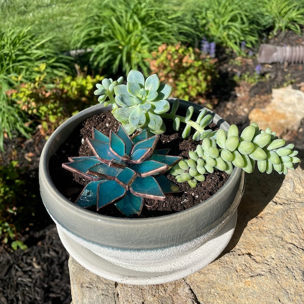 Turquoise/aqua Iridescent Stained Glass Succulent - Etsy