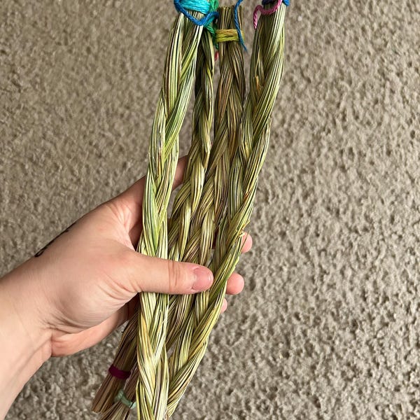 10 Freshly Braided Sweetgrass Braids . Sweetgrass. Hierochloe Odorata ...