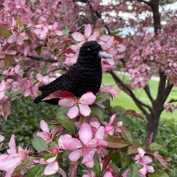 Beautiful Raven Written Crochet Pattern | Crochet Bird Amigurumi ...