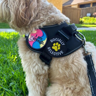 Socially Selective Embroidered Dog Patch 3-inch Round Patch Patch for ...