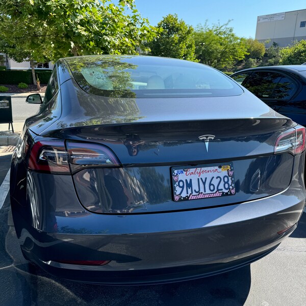 Butterfly License Plate Frame / Cute License Plate Frame / Kawaii Car ...