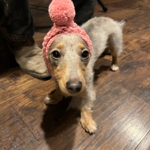 Chartreuse Knit Wool Hat for Small Dog Puppy Hood Chihuahua Clothes ...