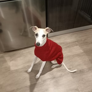 Knitted Whippet Coat Knitting Pattern Download - Etsy