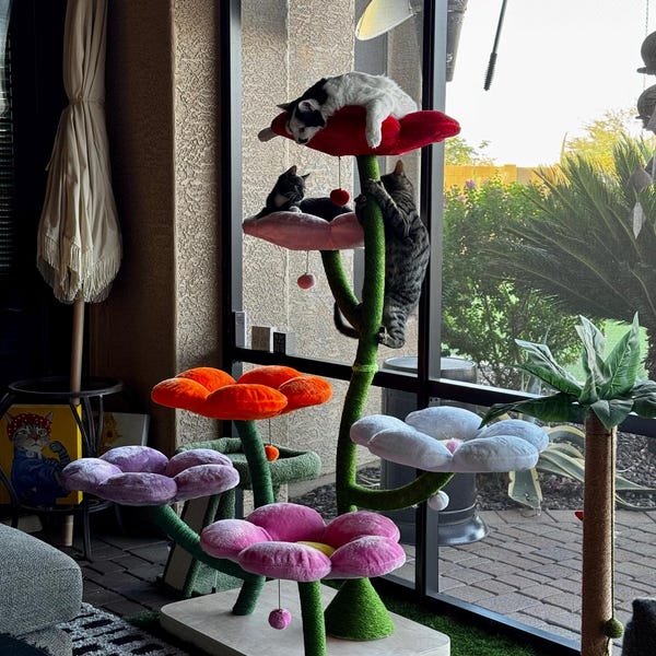 EDEN Wood Floral Cat Tree Tower, Wooden Cat Tower, Modern Cat Climbing ...