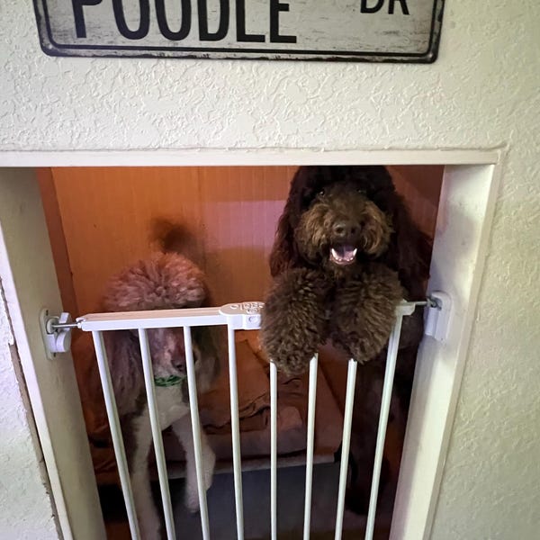 Camila Sign, Camila Gift, Girls Room Decor, Custom Street Sign, Signs ...