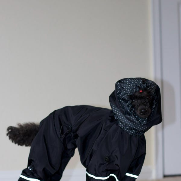 Dog Groomer Uniform, Dog Grooming Dress, Grooming Apparel for Women ...