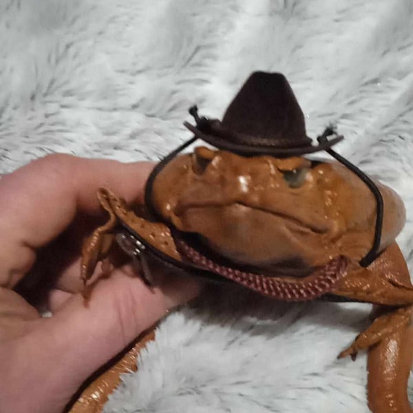 Rootin’ Tootin’ Mini Harmonica Accessory for Real Cane Toad Leather ...