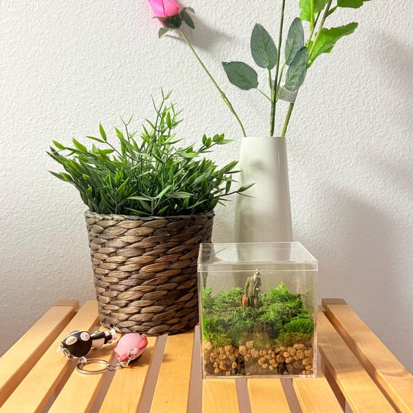 Crystal Amethyst Terrarium Kit,home Office Desk Accessories,diy Craft ...