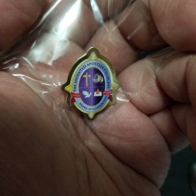 Contour Cut Brass Enamel Logo Lapel Pin / Company Badge / Personalized ...