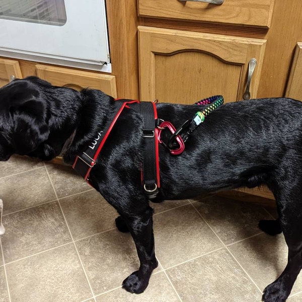 X Back Y Front Dog Harness - Custom Made With Vinyl and Webbing - Etsy