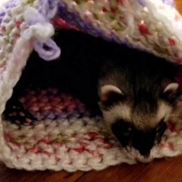 STUDIO or DUPLEX - Your Choice; Ferret; Pocket Pet; Burrow; Nest ...