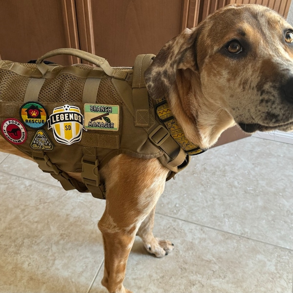 Dog Rescue Patch | 3 Inch Round Patch | Embroidered Rescue Dog Patch ...