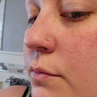 316 Stainless Steel Labret Style Nose Ring Monroe Stud Threadless Push ...