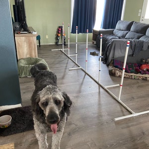 Dog Agility Equipment Construction Instruction Booklet - Etsy