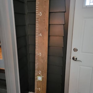 Air Ride Suspension Tank Mount Air Ride Trunk Tray All in One Bracket ...