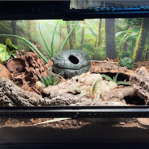 Phase 22 Cryopak 4 Pack - Etsy