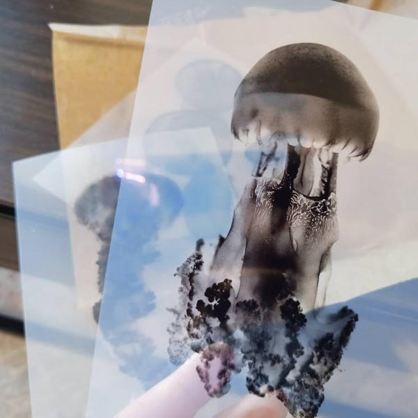 Cyanotype Stencils, Diy Solar Printing Kit, Cyanotype Kit, Craft Kit ...