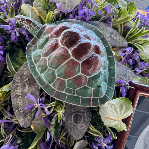 Painted Turtle Urn - Custom Urn, Biodegradable, Cremation, Funeral ...