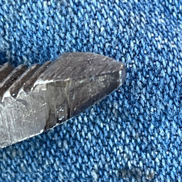 Chatillon's Improved Spring Balance Scale and Basket Has a 25 Lb, Limit ...