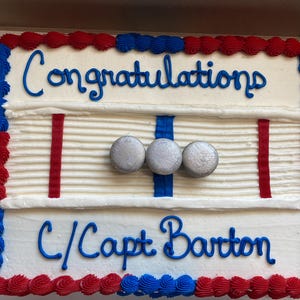 6 Pack Blue Raspberry French Macarons - Etsy