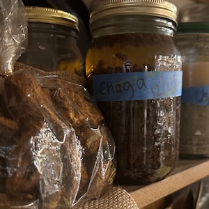 Chaga Mushroom Chunks 1lb Wild-foraged Naturally Dried Maine Chaga ...