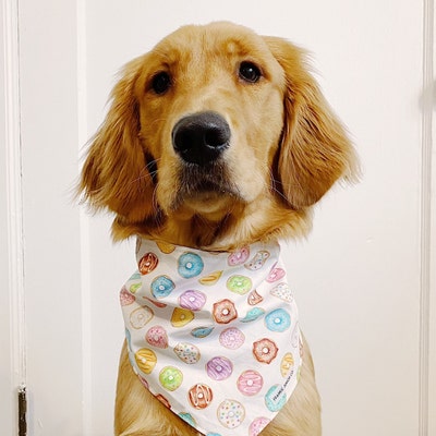 Handmade Snap-on Dog Bandana I Donut Do Mondays - Etsy