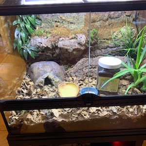 1 Cork Mosaic Tile for Floors, Walls, Bathroom, Kitchen Penny Round ...