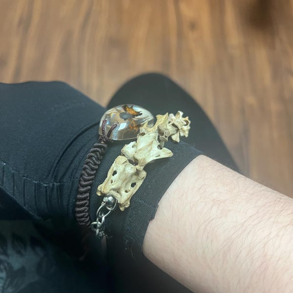 Small Bone Mystery Box - Etsy