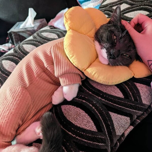 Clothes for Cats, Cat Bathrobe: Handmade Luxury for Your Feline Friend ...