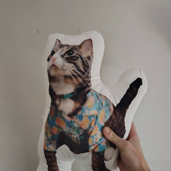 Custom Cat Pillow, Personalized 3D Cat Pillow, Ugly Cat Pillow, Cat ...