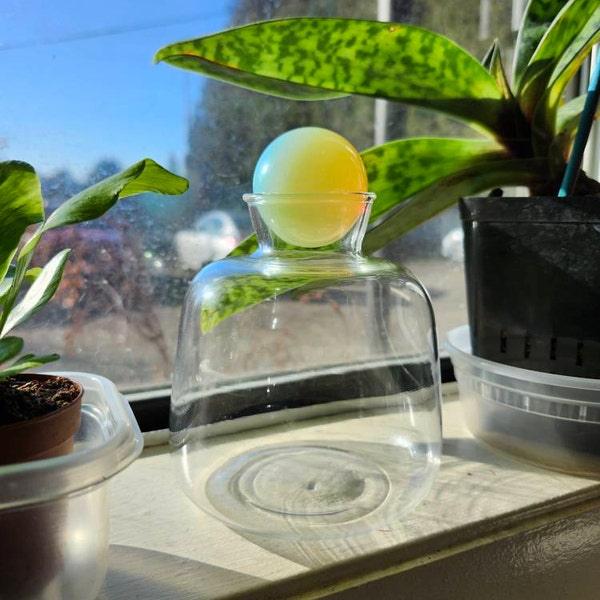 Decorative Spherical Glass Container/jar With White Marble, Red Marble ...