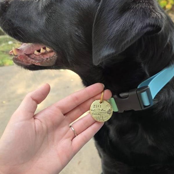 Pet ID Tag - Ocean Dog Tag - Monstera - Dog Collar Tag - Pet Name Tag ...