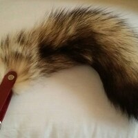 Eco Friendly Kit Fox Tails - Etsy