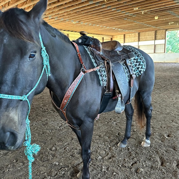 Rope Halter & Mecates Natural Horsemanship Hackamore 21 Colors 2 or 4 ...