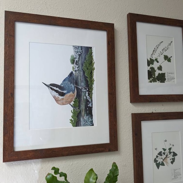 Spotted Towhee Bird Print Blackberry Botanical Realistic Bird Drawing ...