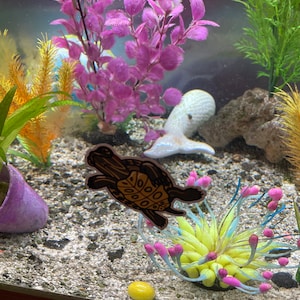 Snakes Vinyl Stickers/decals: Ball Python, Black Rat Snake, Corn Snake ...