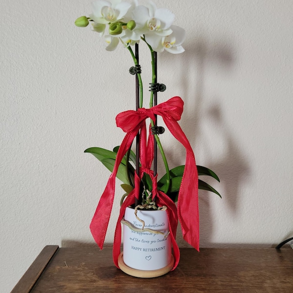 Happy Retirement Gifts for Women Coworker, Succulent Plant Pot ...