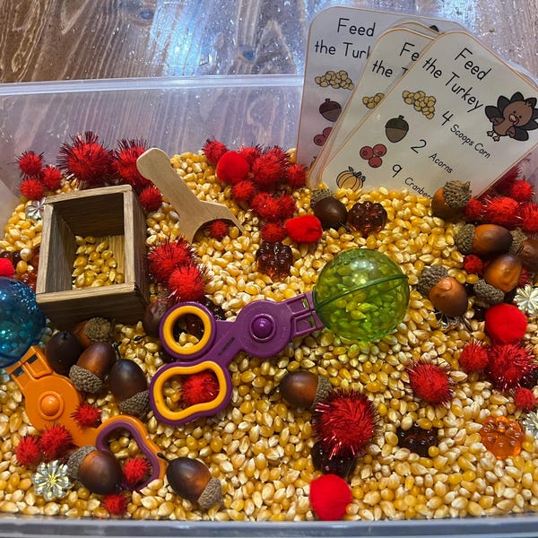 Feed the Turkey Sensory Bin Digital Download Cards Only - Etsy