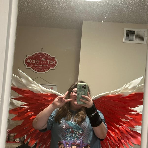 Husk Wings, Black, Red Angel Wings Costume, Hazbin Hotel, Cosplay - Etsy