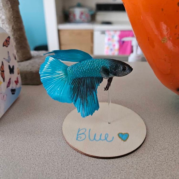 Fake Snail Aquarium - Etsy