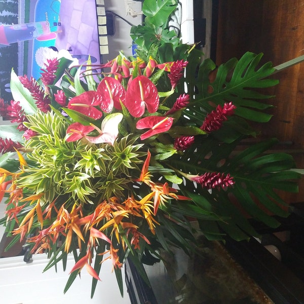 OASIS® Jumbo Cage With Max Life, Eco Friendly, Bio Degradable - Etsy