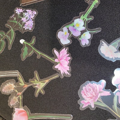 20 Vinyl Transparent Pink Flower Sticker Pack, Waterproof Reusable Set ...