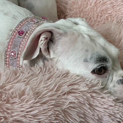 Pearls, Hearts & Real Rhinestone Collar, Luxury Thick Designer Girl Dog ...