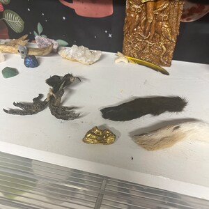 7 African Powers Hoodoo Rice Orisha Blessings Orunmilla - Etsy