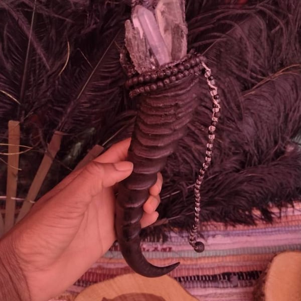 Real Springbok Horns - Large Horns From Springbok Skull - Etsy