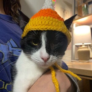 Cat Frog Hat Available for All Pets Dog / Cat / Pet Hat - Etsy
