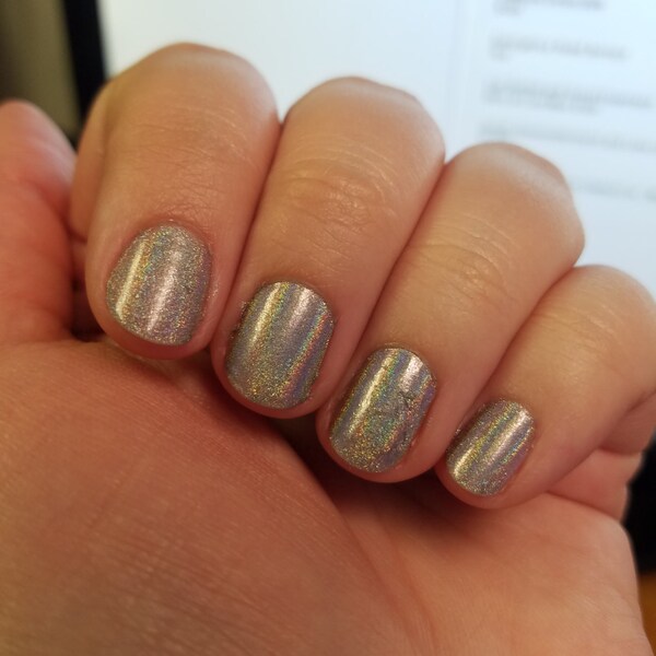 35 Micron Unicorn Powder Spectraflair Alternative Silver Holographic ...